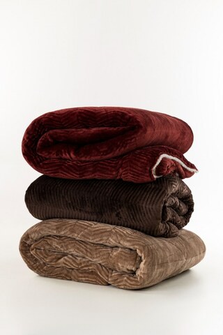 The Ultimate Cold Weather Bedding Essentials - Edition