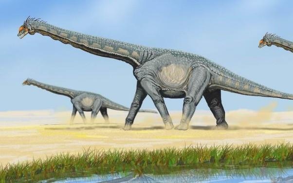 Dinosaurs in Pakistan - Entertainment - Edition